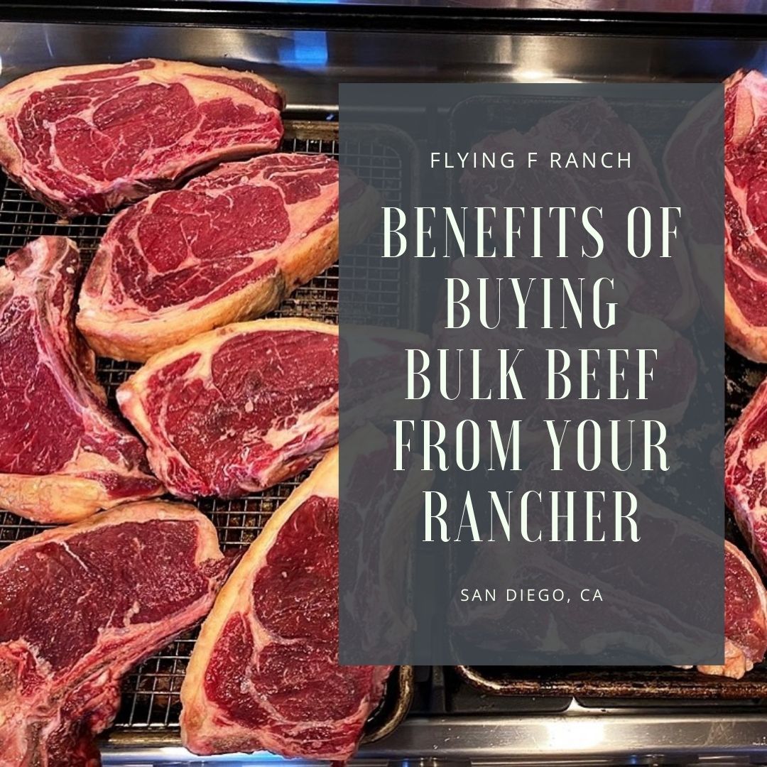 Benefits of Buying Bulk BEEF From Your Rancher – Flying F Ranch